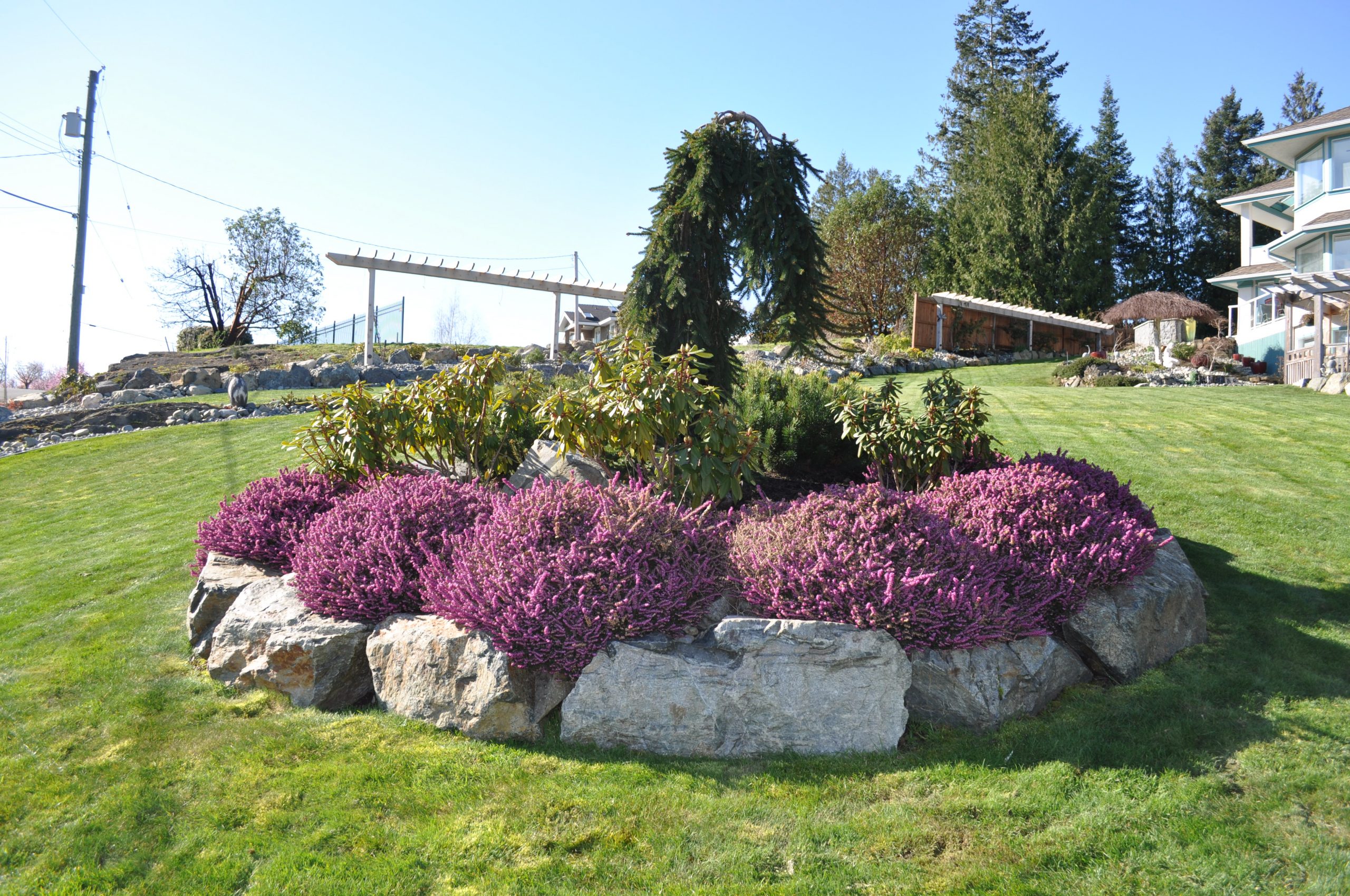 Softscape Landscaping: Flowers, Shrubs, Grass, Trees - Landscaping ...